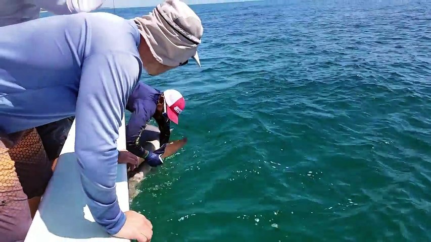 Catch_Em_All_Fishing videos - Dailymotion