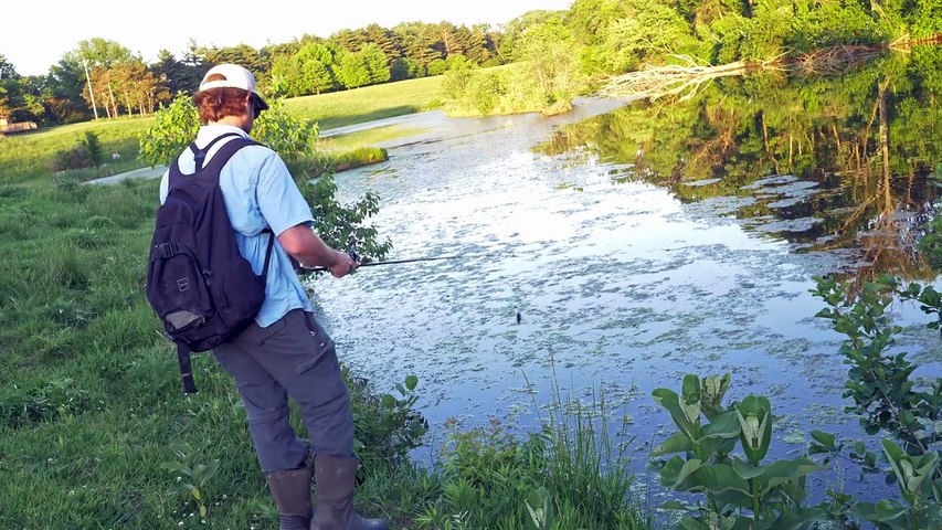 618 Fishing videos - Dailymotion