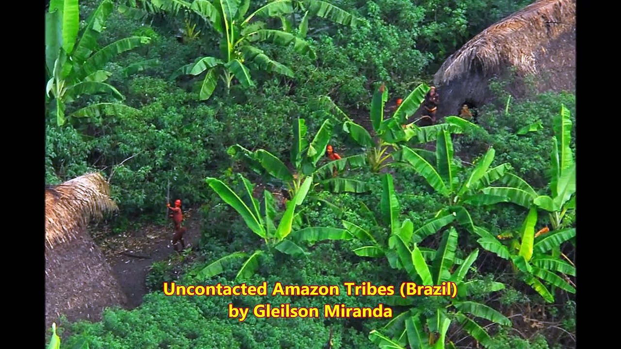 First pictures of Last Uncontacted AMAZON TRIBE, MASHCO PIRO. - video ...