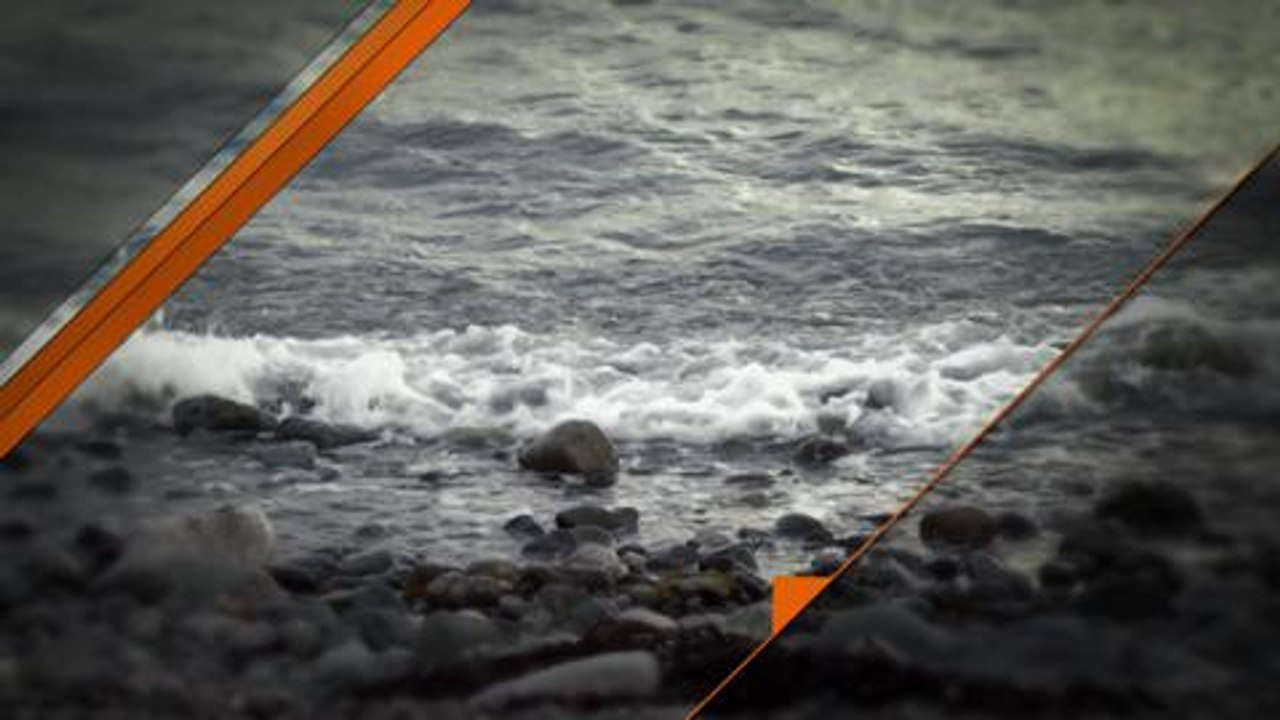 Post Script – Lucia Newman – Chile Penguins promo - video Dailymotion