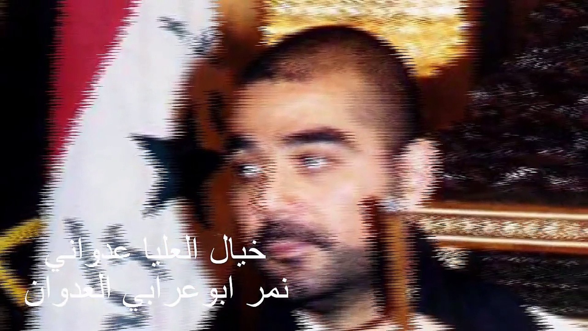 Uday Hussein Lions 71 Uday Hussein Photos Stock Photos, High Res