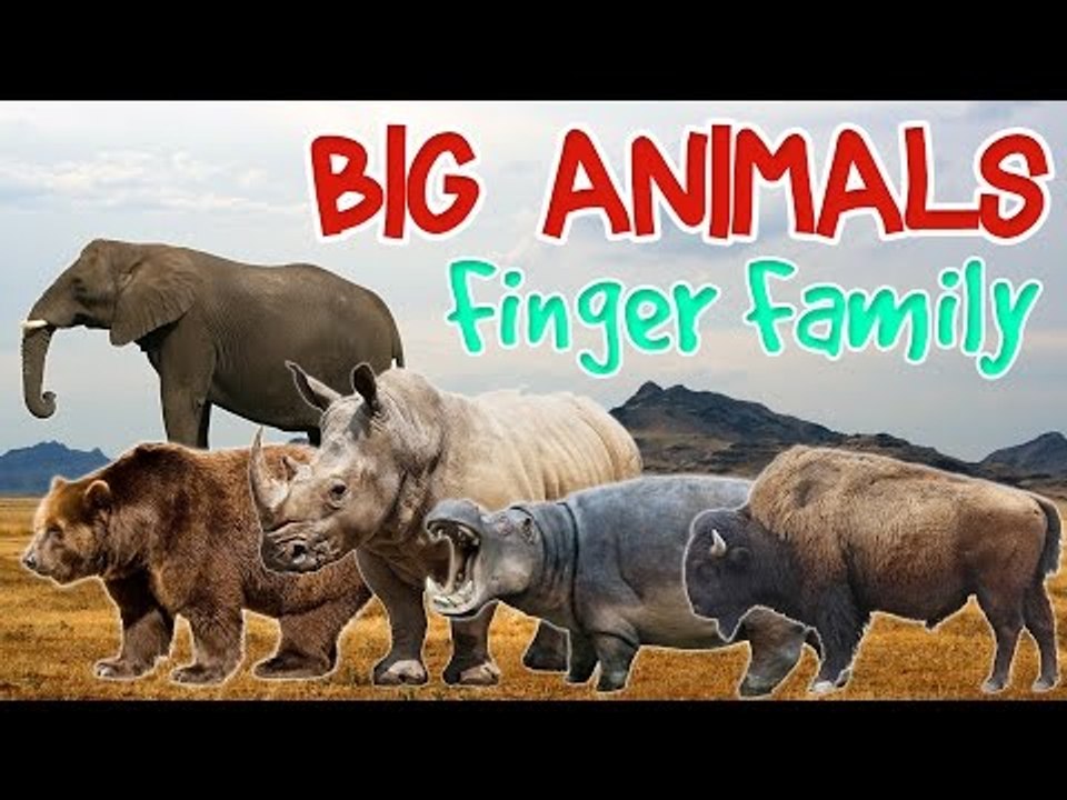 Big Animals Finger Family | Animals Nursery Rhymes for Children | Fun ...
