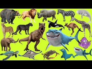 Video Fun Toddler - Dailymotion