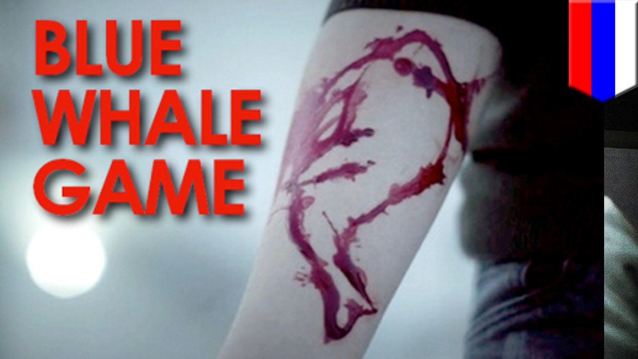 The dangerous ‘Blue Whale Challenge’ explained - video Dailymotion