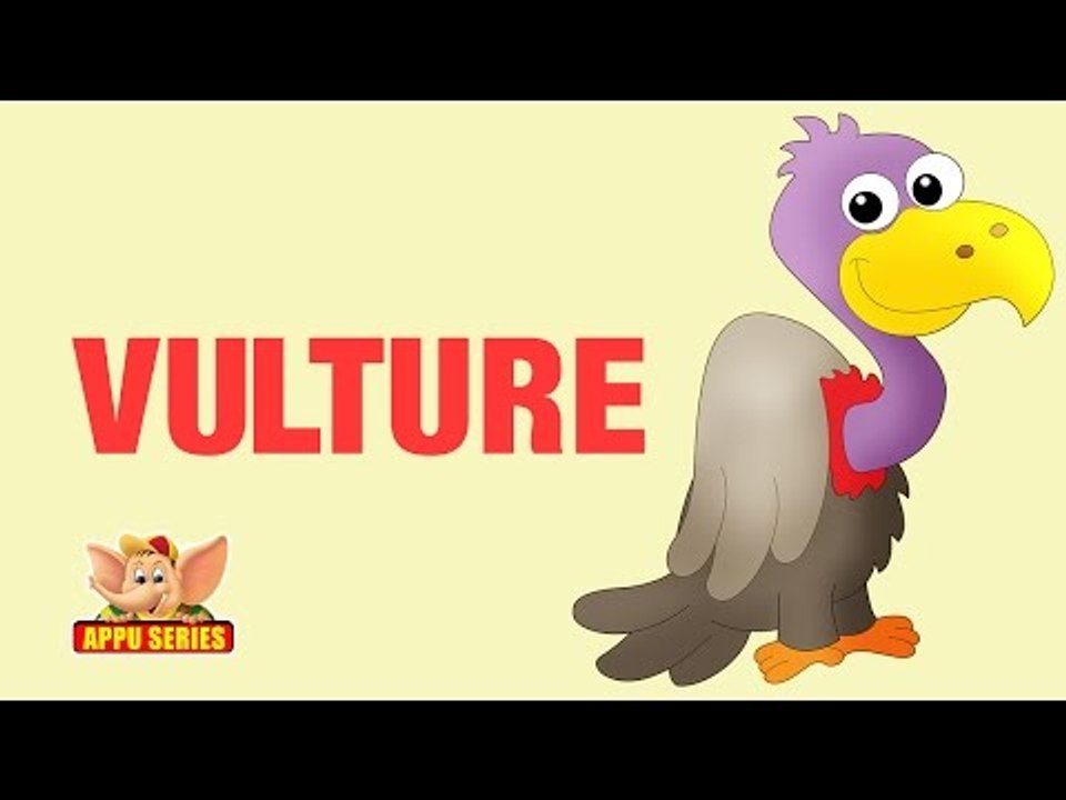 Animal Sounds - Vulture - video Dailymotion