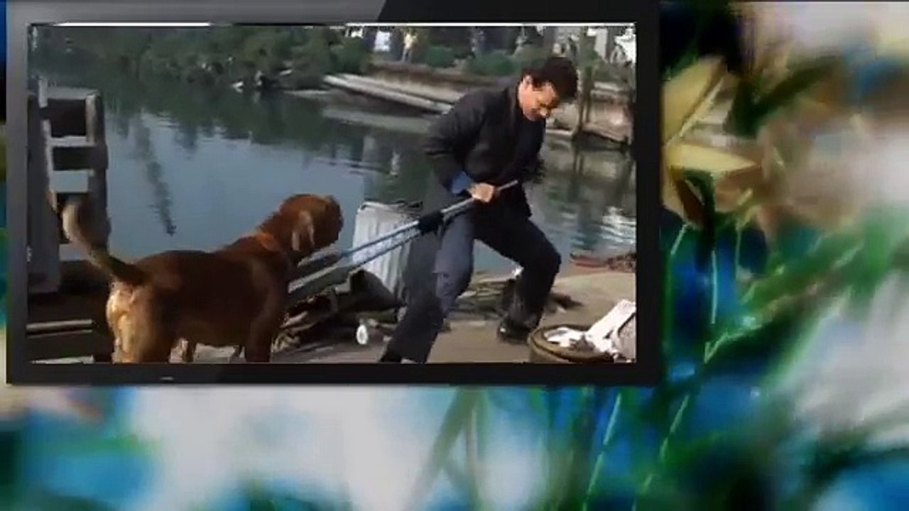 Turner & Hooch (1989) Tom Hanks, Mare Winningham Movie - video Dailymotion