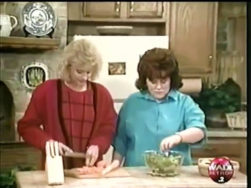 Small Wonder- Here Today, Gone Tomorrow S3-E14 - video Dailymotion