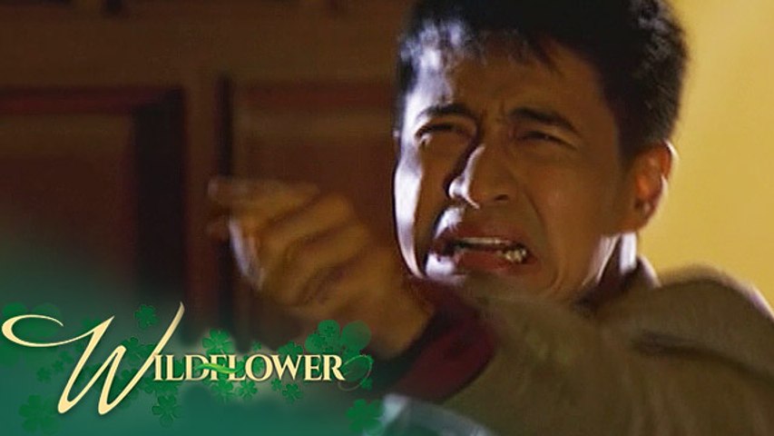 Wildflower by ABS-CBN Entertainment - Dailymotion