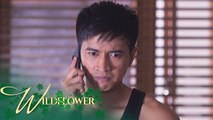 Wildflower by ABS-CBN Entertainment - Dailymotion