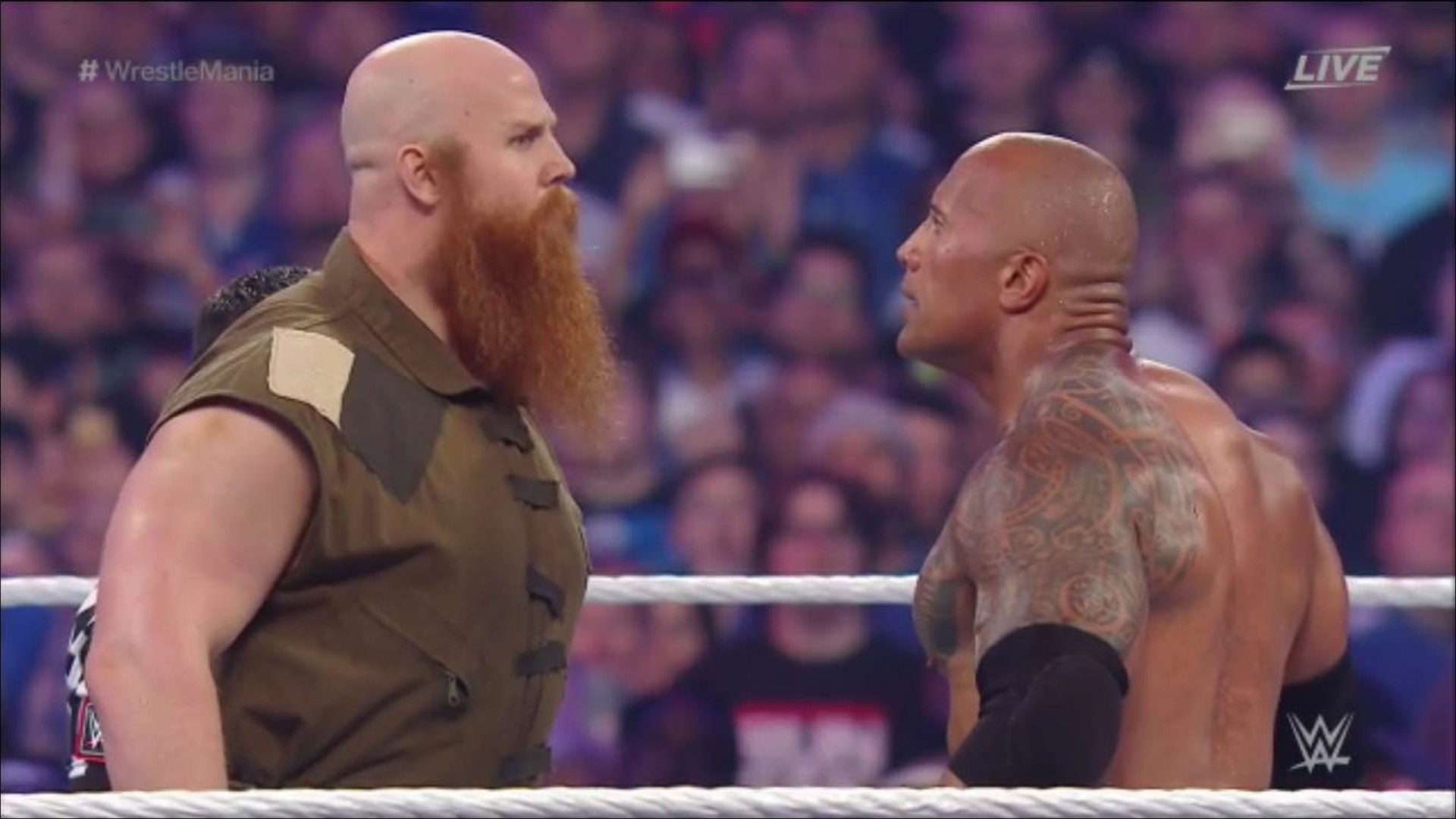 Cosas que tienes que saber sobre Erick Rowan - TIM Wrestling