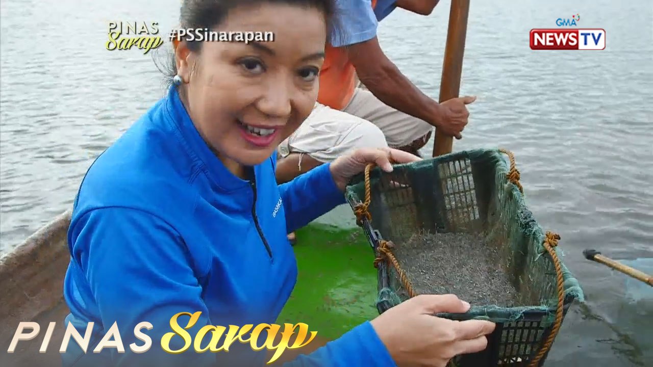 Pinas Sarap: Kara David, humuli ng Sinarapan sa Lake Buhi - video ...