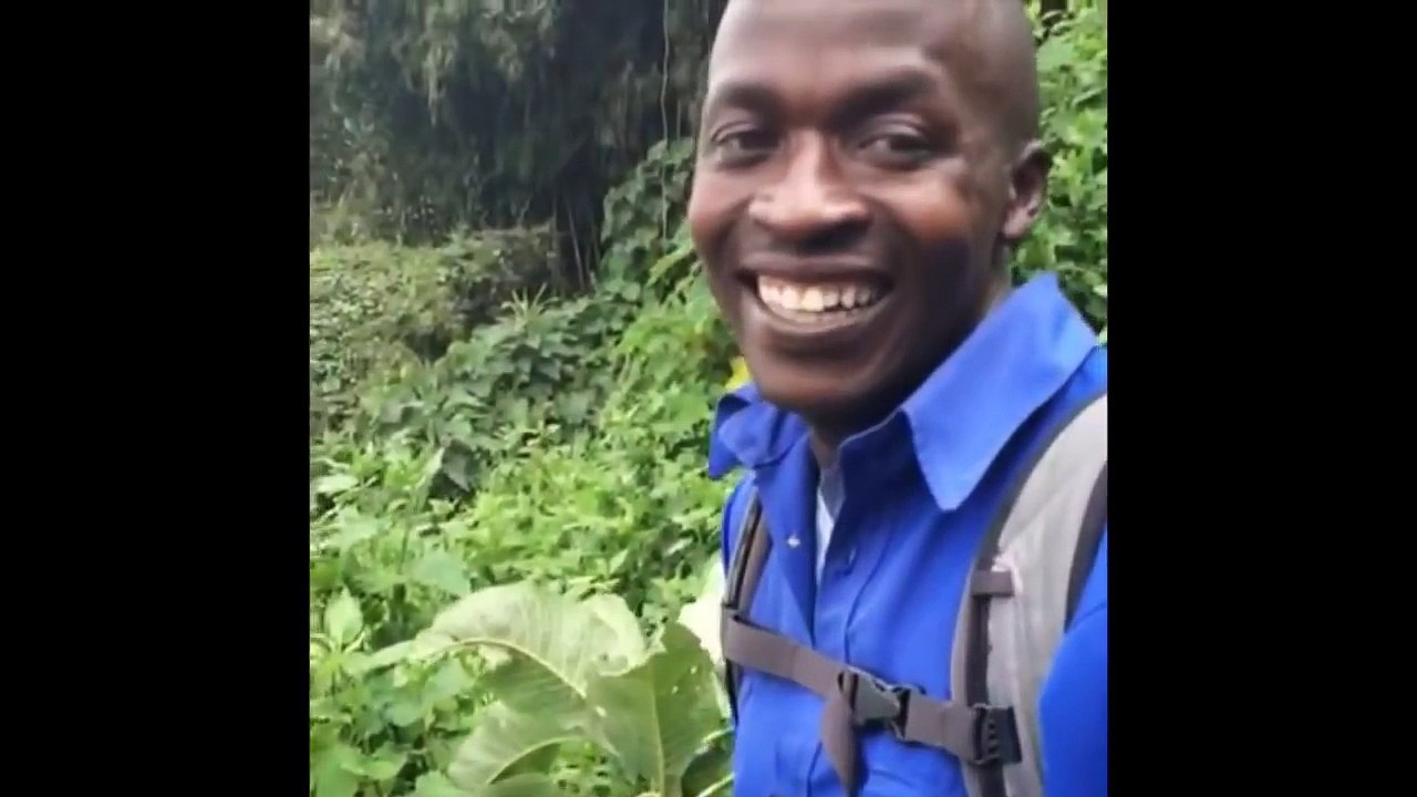 RIP VINE - MOST ICONIC VINES - Dailymotion Video