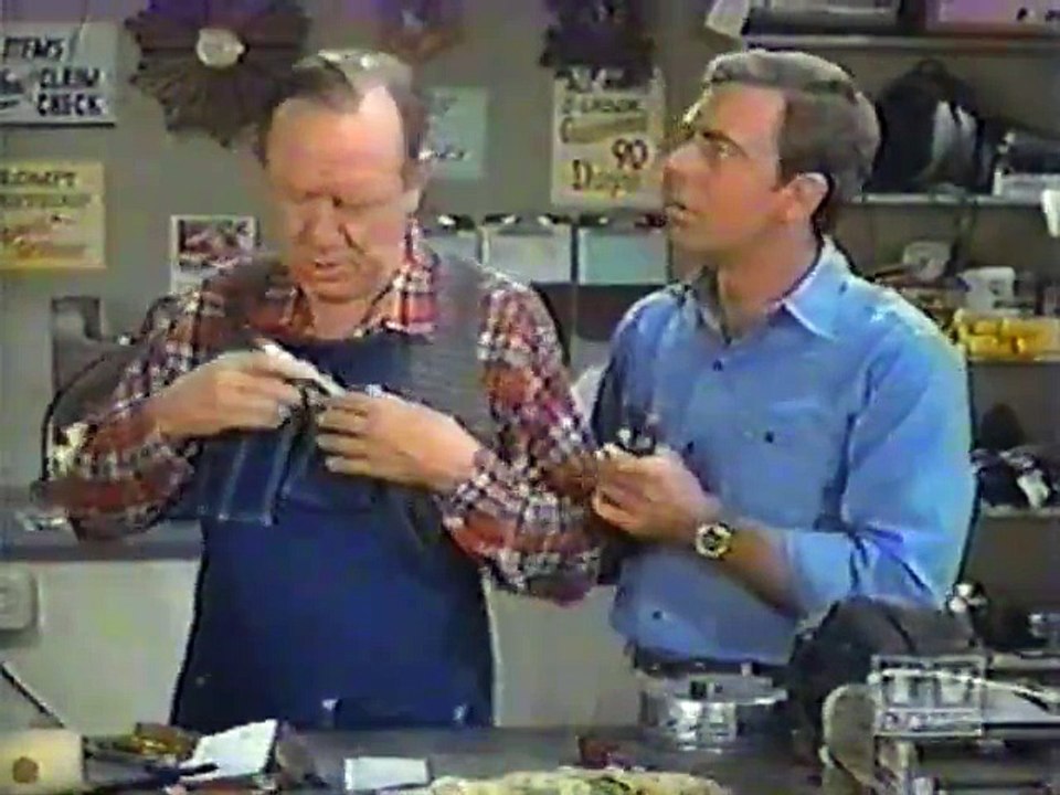 Mayberry RFD - S03E06 - Hair (1) - video Dailymotion