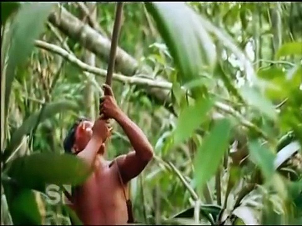 Amazon Tribes | National geographic documentary amazon tribes [NEW ...