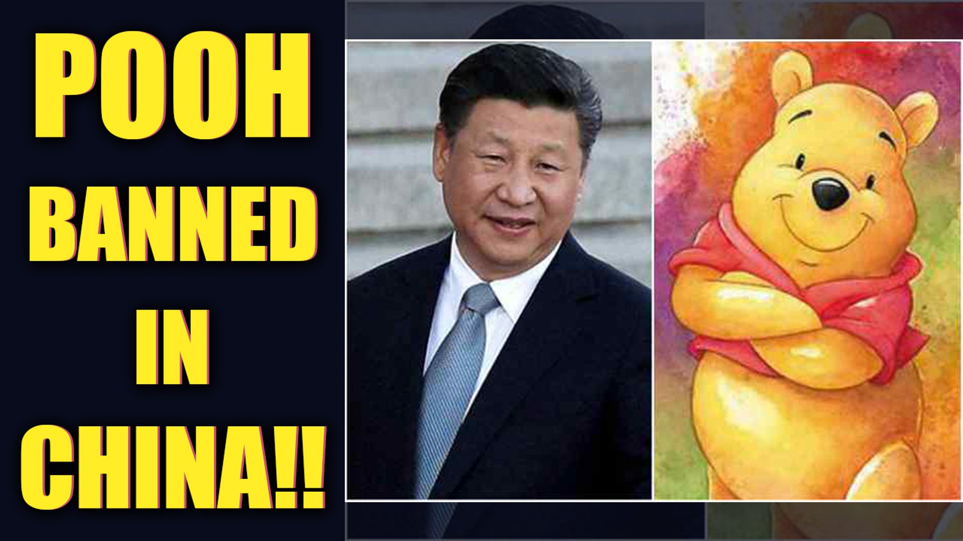 evitar alimentar Salida china president winnie the pooh vertical ...