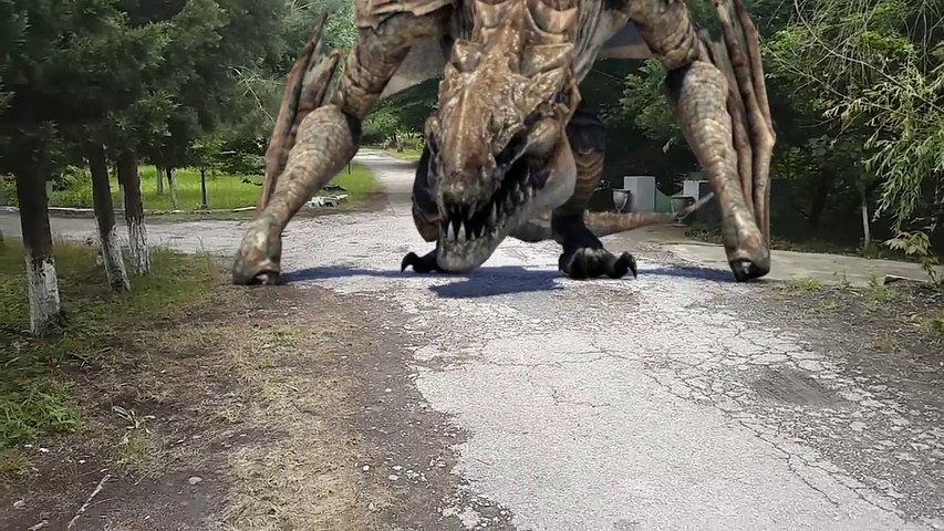 Pictures Of Real Life Dragons