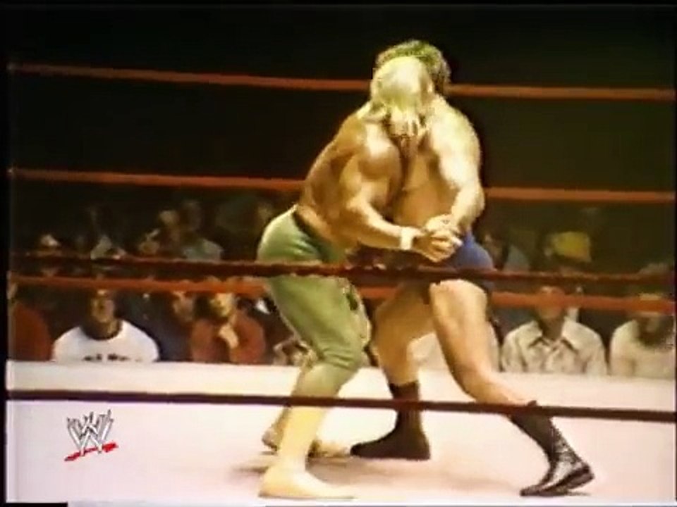 Bruno Sammartino vs Superstar Billy Graham - video Dailymotion