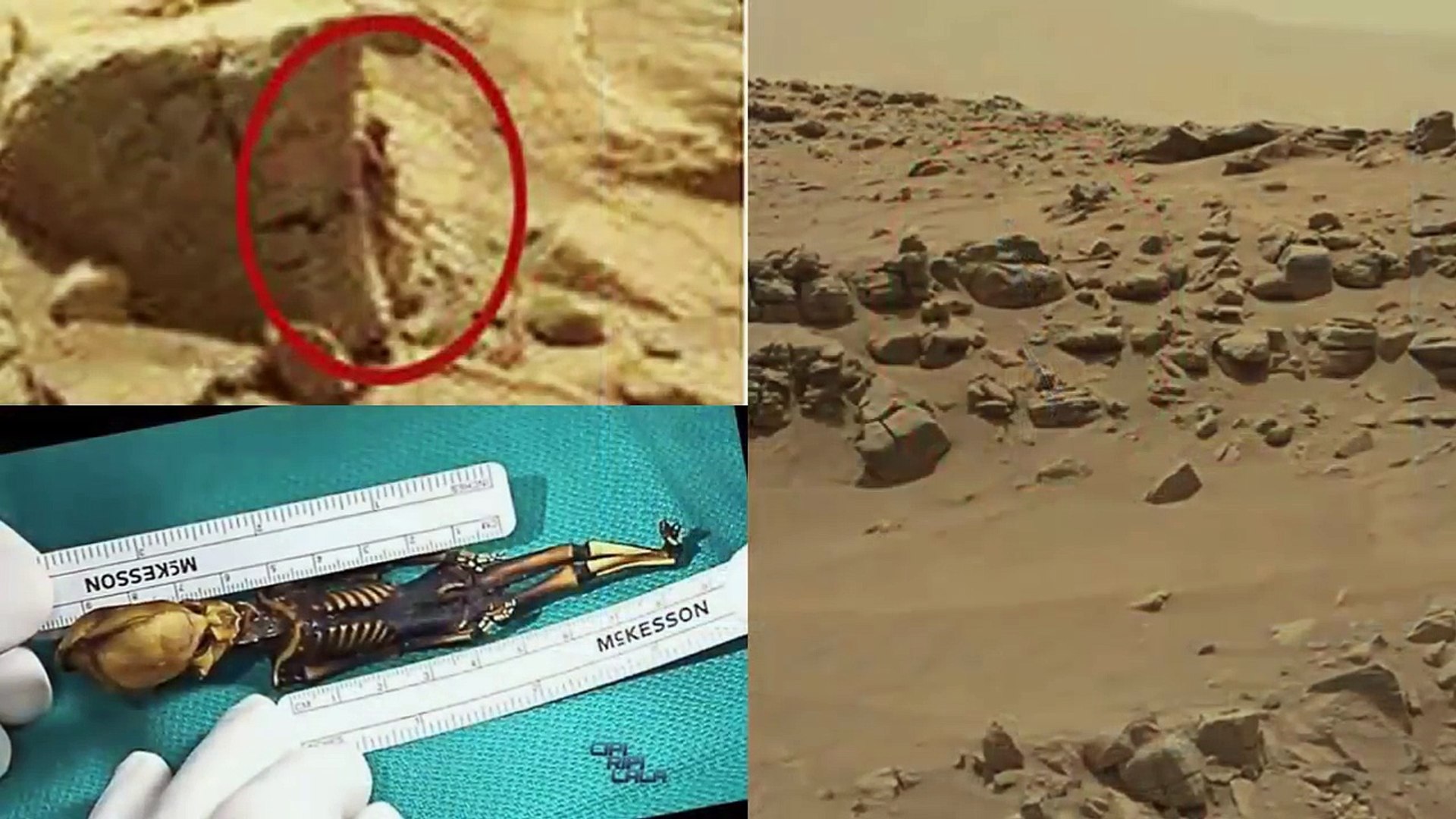 Real Aliens On Mars