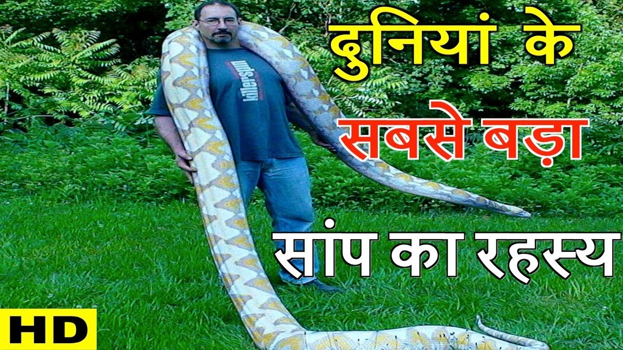 दुनिया का सबसे बड़ा साँप | Largest Snake in the World | Hoax Hunting ...