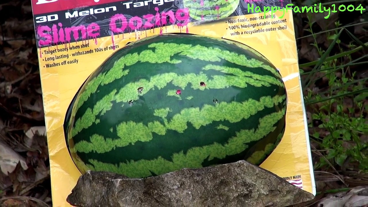 Daisy Oozing Melon Watermelon 3D Shooting Target with Robert-Andre ...