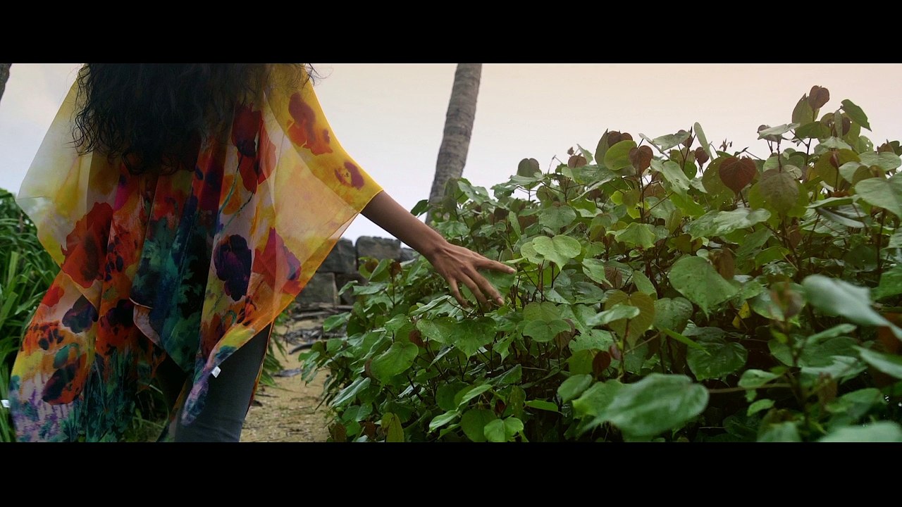 Kattupoovu | കാട്ടുപൂവ് | Romantic Music Video | Ft. Ekalavyan Subhash ...