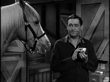 Mister Ed season 5 by TV Series Collection - Dailymotion