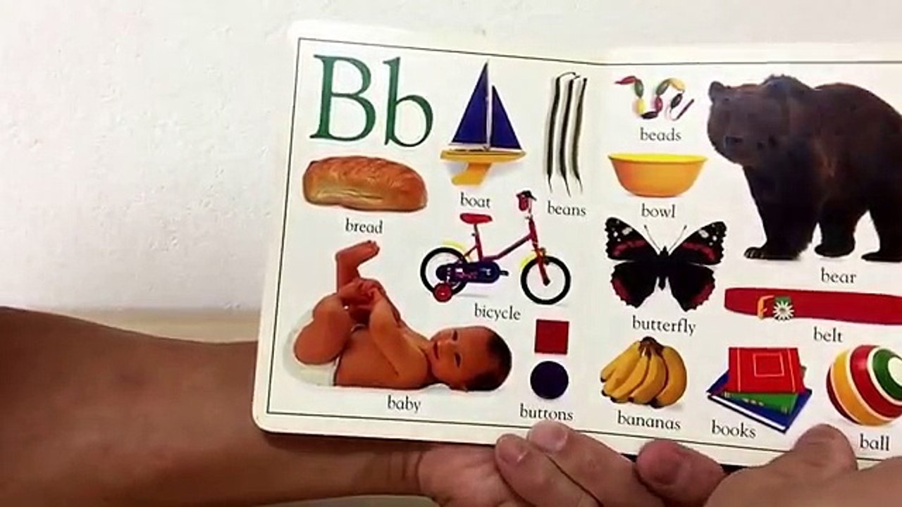 My first abc board book - Actual pictures! Increase your childs ...