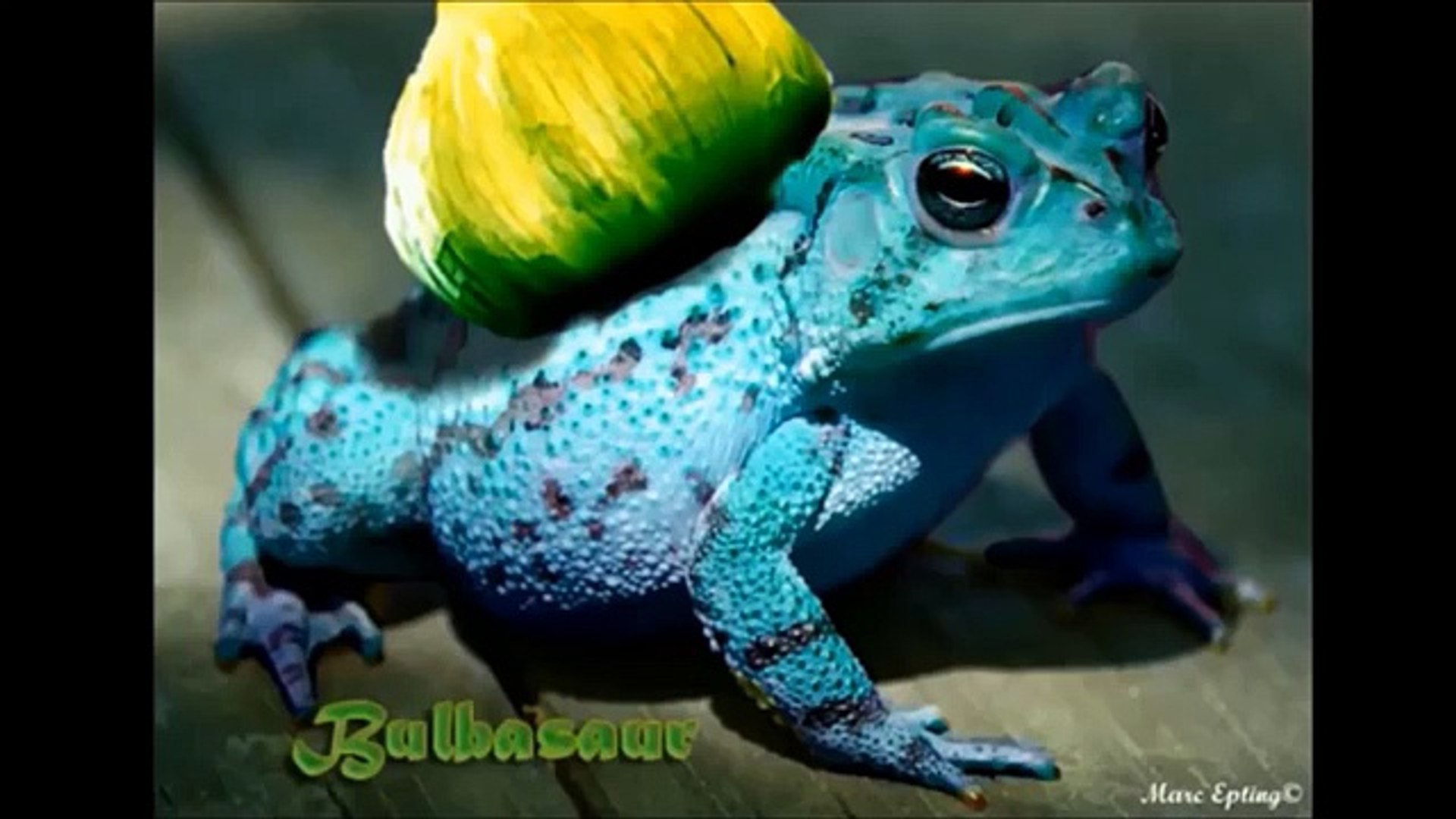 Bulbasaur Real Life