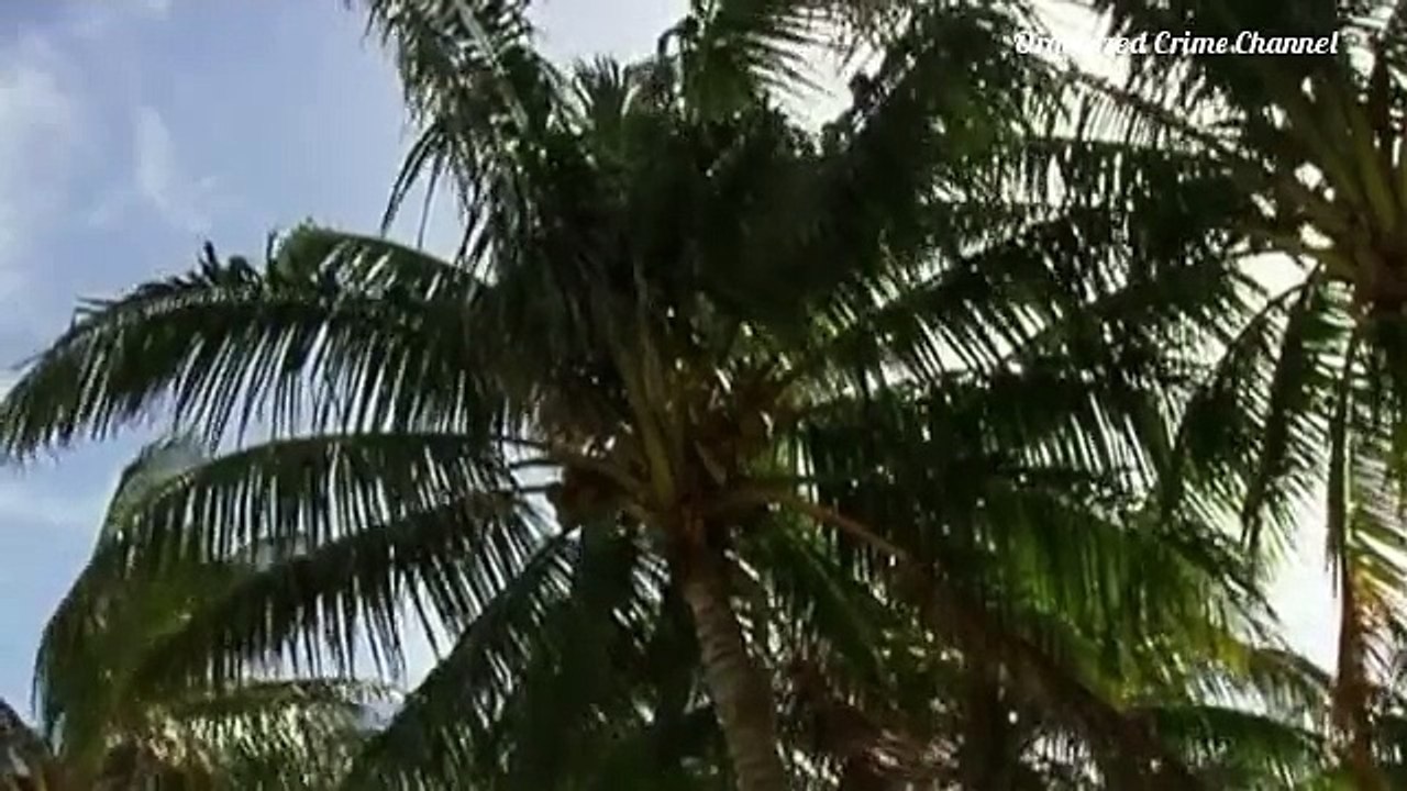 Zoe Pound Documentary - Shocking Haitian Miami Street Gang Crime Family ...