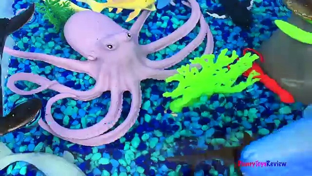 ANIMAL PLANET MEGA OCEAN TUB SHARKS DOLPHINS TURTLES SEAHORSE STARFISH ...