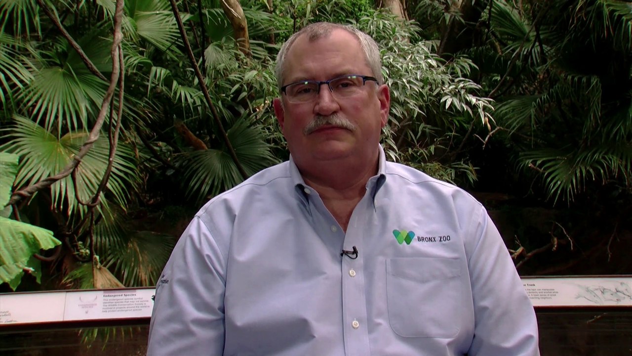 IR Interview: Jim Breheny For "The Zoo" [Animal Planet] - video Dailymotion