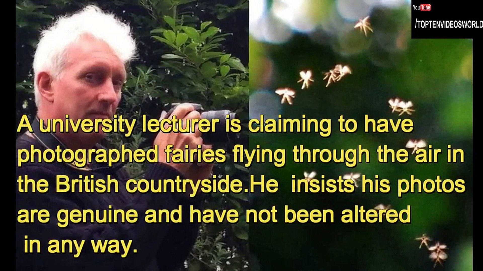 Pictures Of Real Fairies Flying