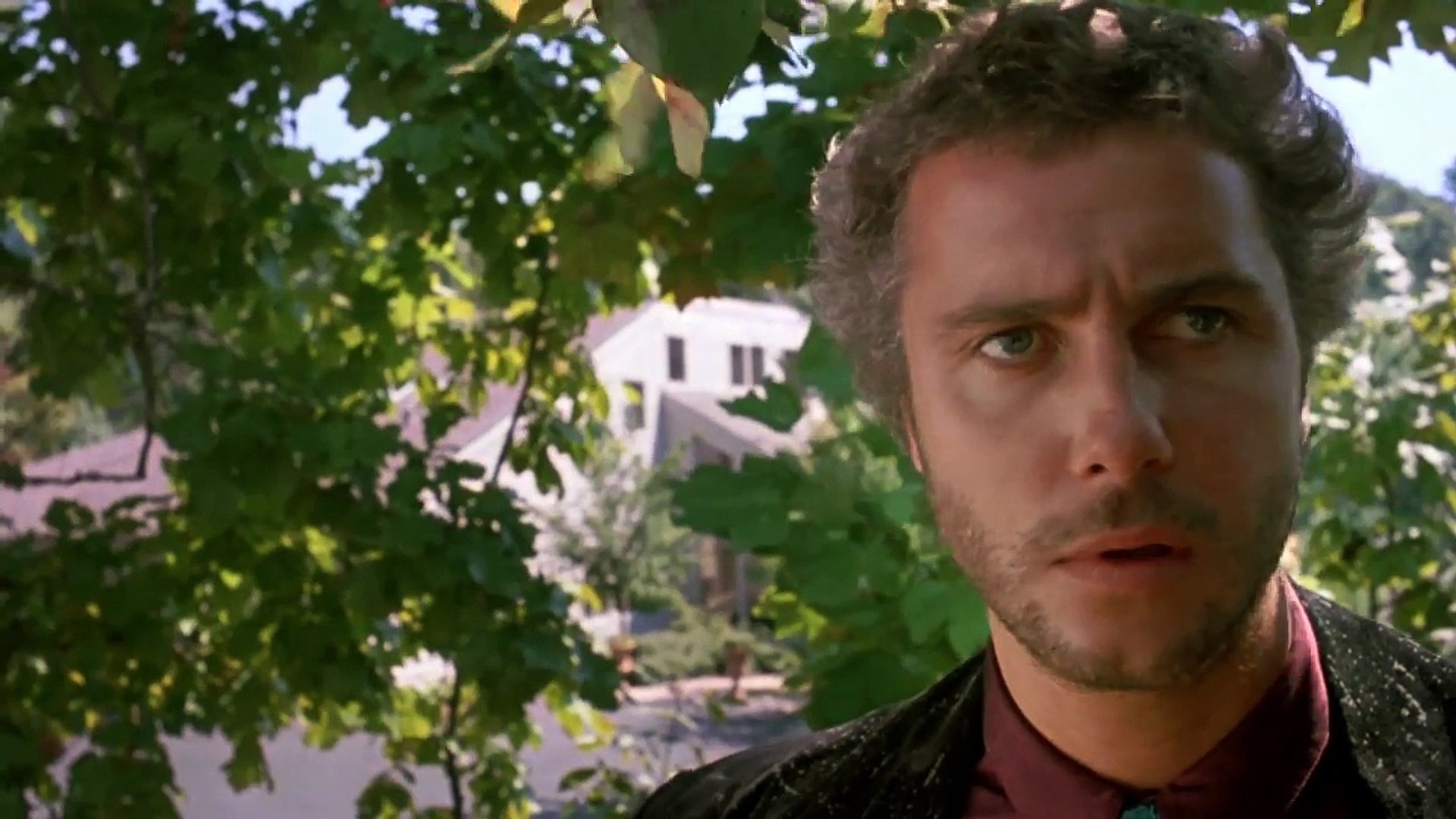 Will Graham Manhunter