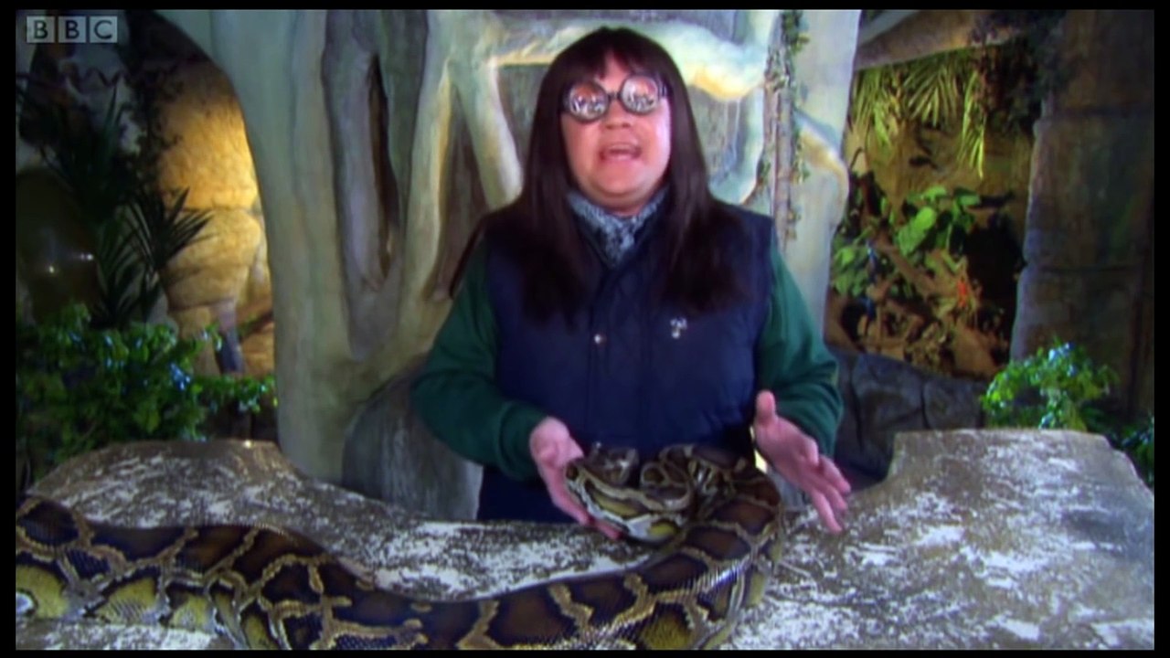Gigglebiz Anna Conda the reptiles expert with a beautiful Burmese ...