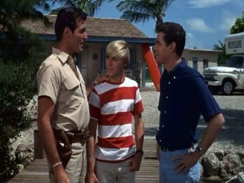 Flipper 1964 S02e11 A Job For Sandy - video Dailymotion