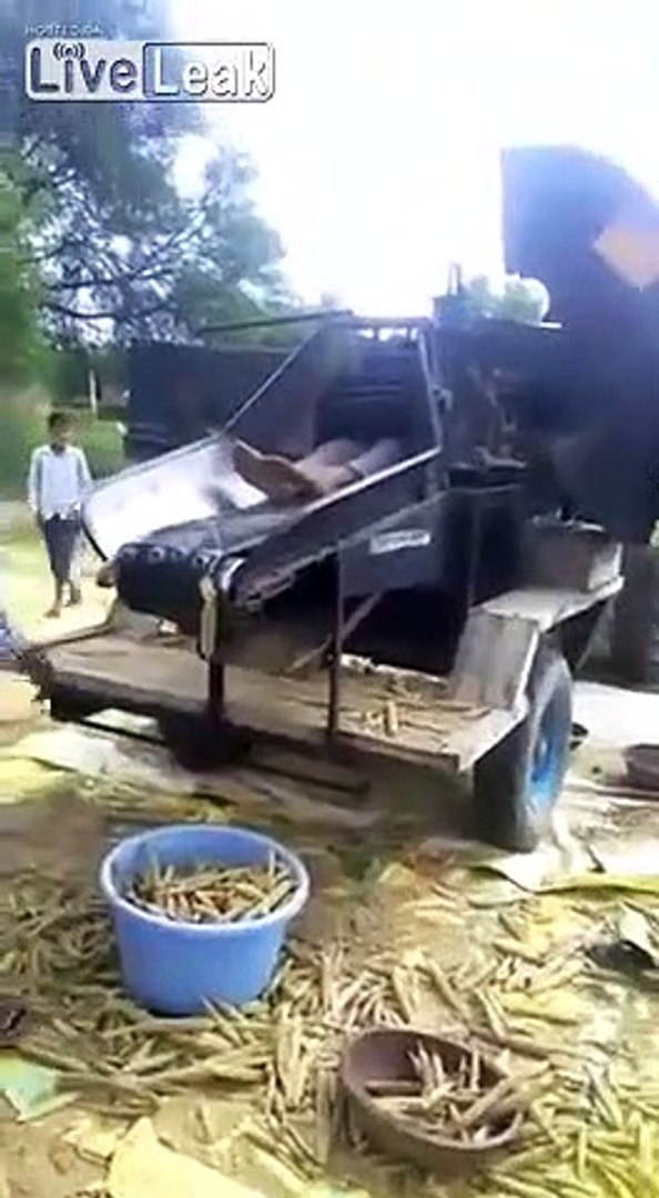 Graphic Wood Chipper Accidents