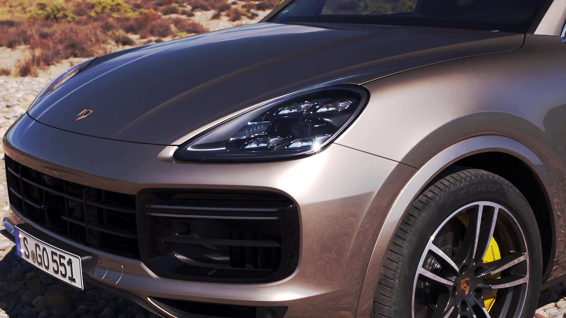 Palladium Metallic Color