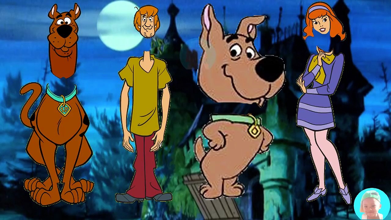 Wrong heads Scooby Doo Shaggy Rogers Scrappy Doo Daphne Blake Wrong ...