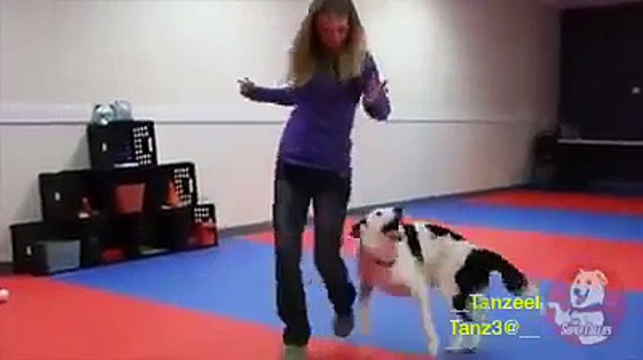 Beautiful girl dancing with her dog on lovely song - video Dailymotion