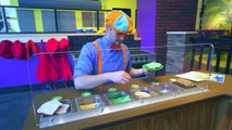 Blippi Visits The Aquarium _ Educational Fish and Animals for Kids and ...