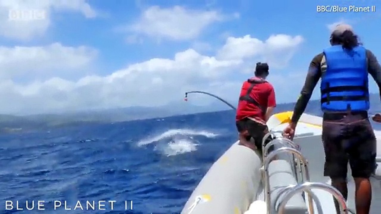 Sperm Whale Cam: Blue Planet II Behind The Scenes - video Dailymotion
