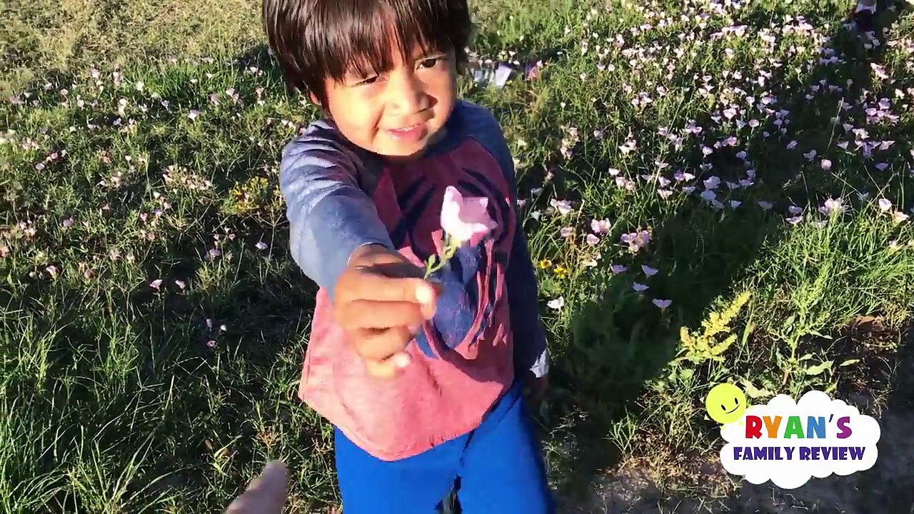 Twin Babies Night Routine Bedtime! Family Fun Kids Playground with Ryan ...