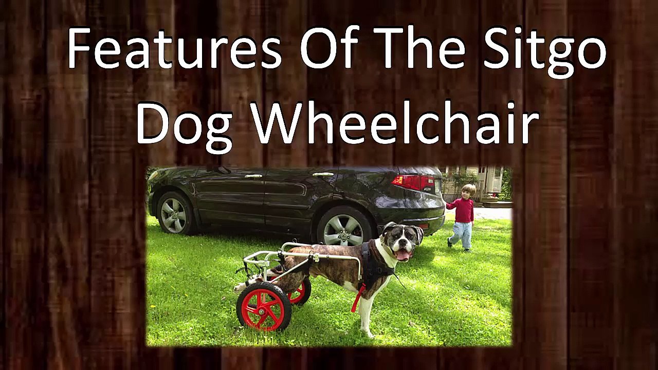 Features of Dog Wheelchair: Sitgo - video Dailymotion