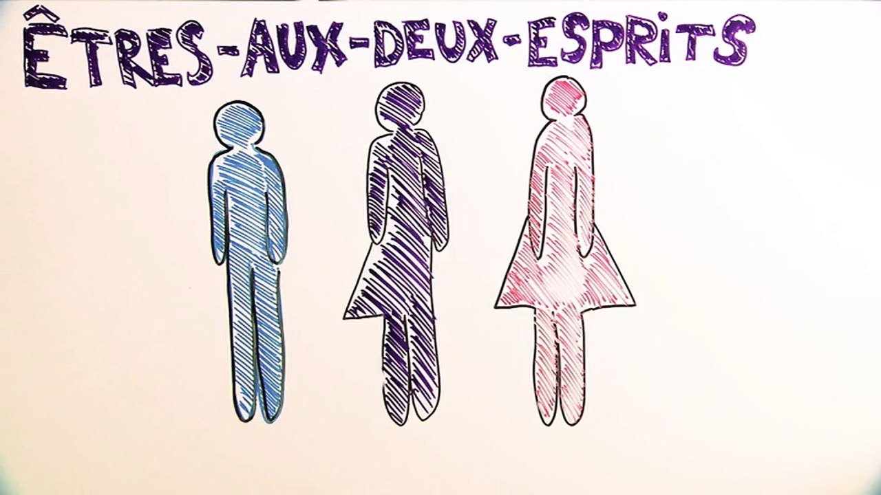 Identité de genre : les Êtres-aux-deux-Esprits dans la société ...