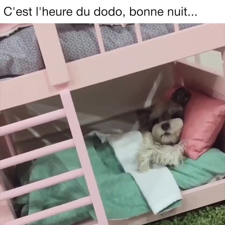 C'est l'heure du dodo, bonne nuit... - Vidéo Dailymotion
