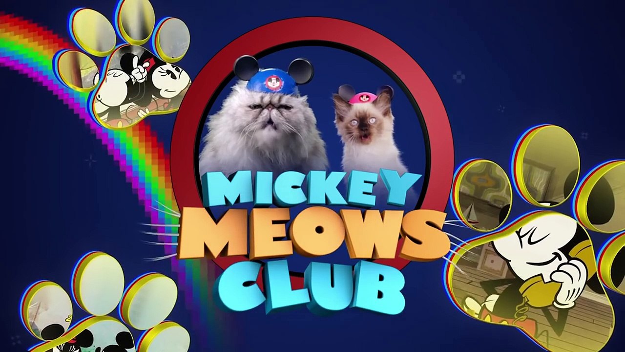 Mickey Meows Club - Dream Jobs _ Disney-kB-OGsF75B4 - Video Dailymotion