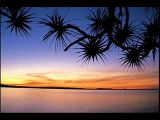 reggae par vincent cappa - Dailymotion