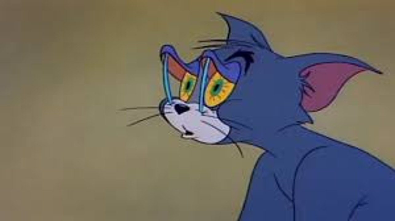 Tom and Jerry Sleepy Time Tom [1951] - video Dailymotion