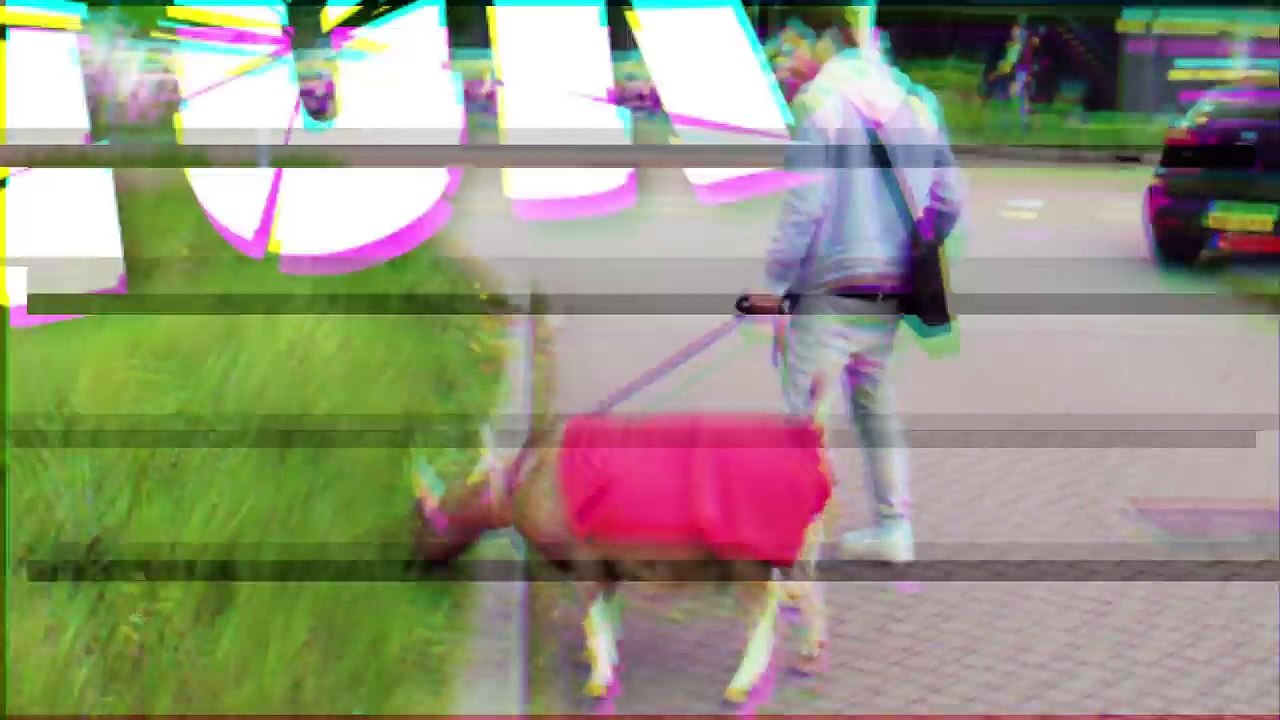 #271: Sinterkerst & Nieuw Ravage [OPDRACHT] - Vidéo Dailymotion