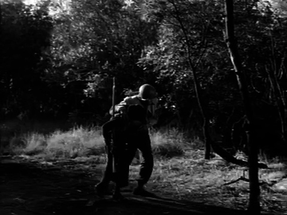 Combat S01E16 The Volunteer...with Ted Knight - video Dailymotion